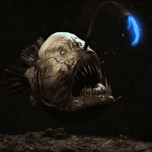 Plongez dans le Top 24 des étranges créatures abyssales