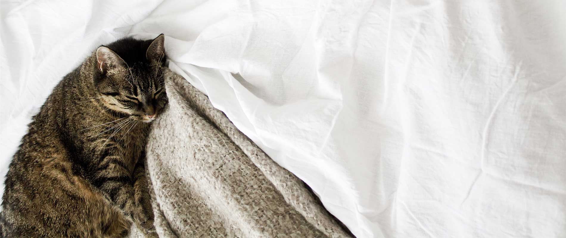 Notre petit guide de survie pendant le confinement